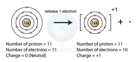 Ion Charge The Periodic Table