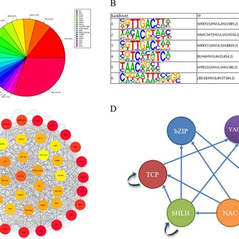 Analysis Of Transcription Factors Under Abiotic Stress A Transcription