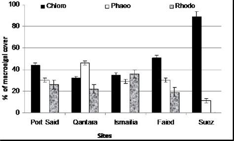 Percentage Of Abundance For Each Macroalgal Group In The Studied Sites