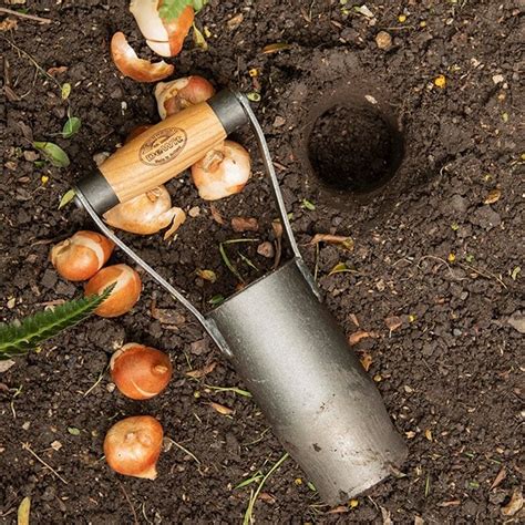 Buy Dewit Hand Bulb Planter Delivery By Crocus