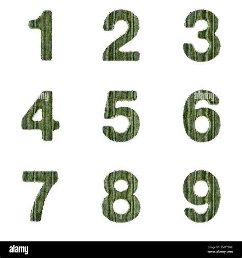 3d Render Set Of Bamboo Font Including Letters Numbers And Punctuation