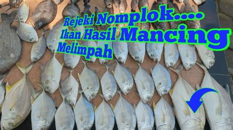Rejeki Nomplok Ikan Hasil Mancing Melimpah YouTube