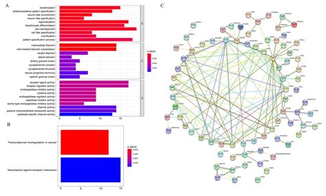A Prognostic Long Non Coding Rna Associated Competing Endogenous Rna