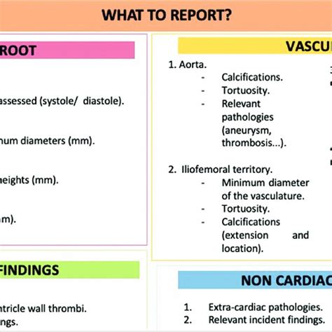 Essential Information Of The Report In Tavr Planning Download