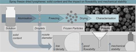 喷雾冷冻干燥冻干球固体含量及其对流动性和机械稳定性的影响 Powder Technology X MOL