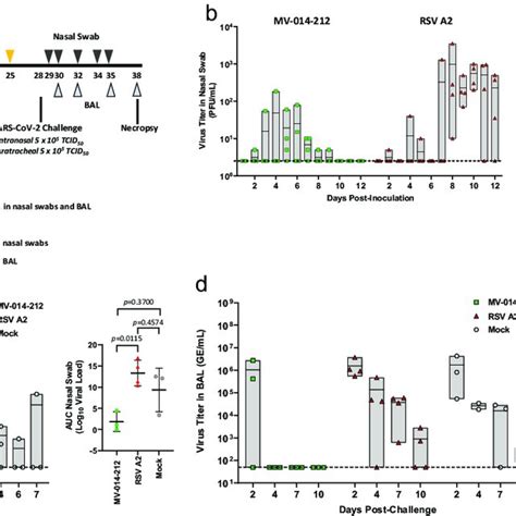 Pei Yong Shi Novartis Basel Disease Biology Research Profile