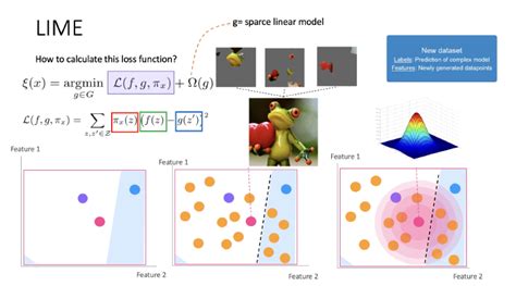Local Interpretable Model Agnostic Explanations Emil