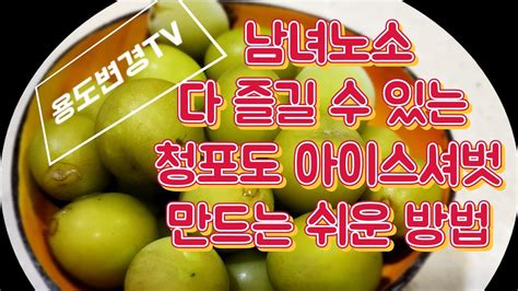 청포도 샤이니스타로 맛있는 아이스 포도셔벗 만드는 손쉬운 방법 Youtube