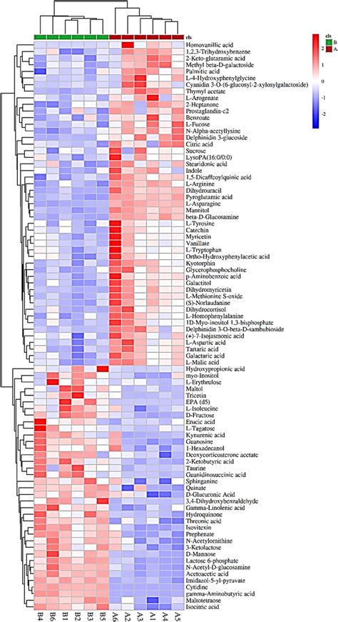 Heatmap Of Hierarchical Clustering Analysis Of Differential Metabolites Download Scientific
