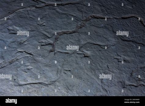 Fosilized Foot Steps Of Dinosaurs At Sataplia Nature Reserve In Georgia