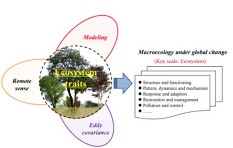 地理资源所科研人员发表生态系统性状原创概念体系：构架传统植物功能性状与宏观生态研究的新桥梁