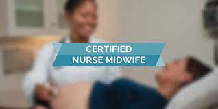 17 Key Insights Into The Vital Role Of Certified Nurse Midwife