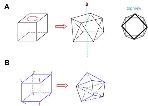 8 1 4 Coordination Numbers And Structures Chemistry Libretexts