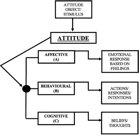 3 Components Of Attitudes Explained