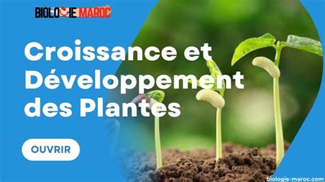 Croissance Et Développement Des Plantes Cours Tp Examen S5