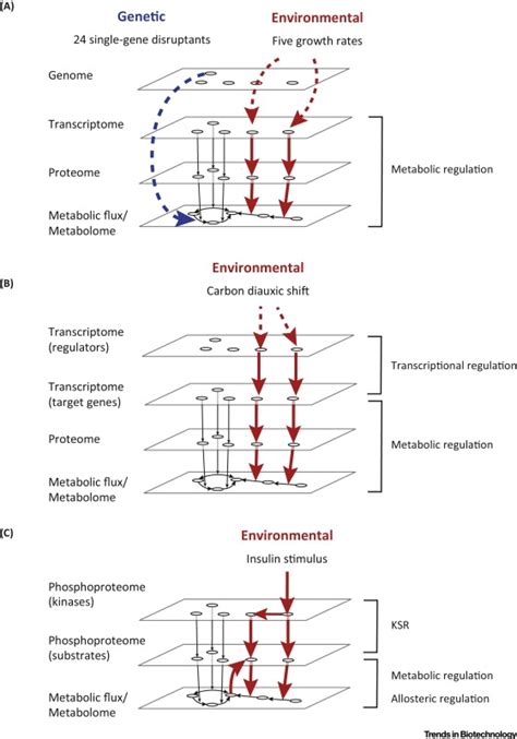 Trans Omics How To Reconstruct Biochemical Networks Across Multiple
