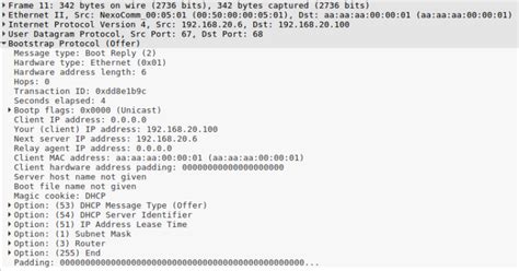 DHCP Network Curiosity