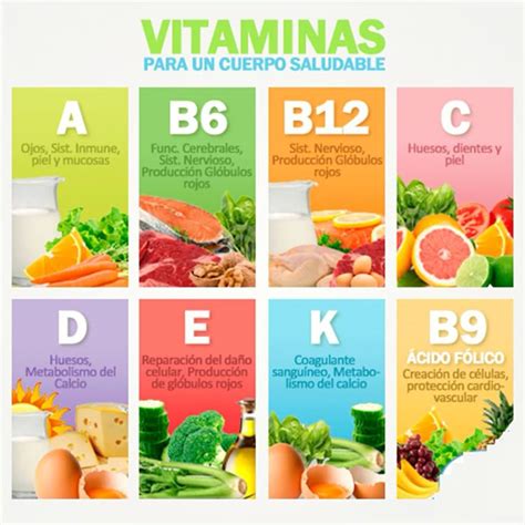 Las Vitaminas Y Sus Funciones Hot Sex Picture