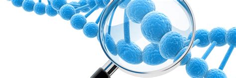 Clinical Interpretation When Is A Variant A Mutation Genomics Education Programme Clinical Interpretation When Is A Variant A Mutation Genomics Education Programme