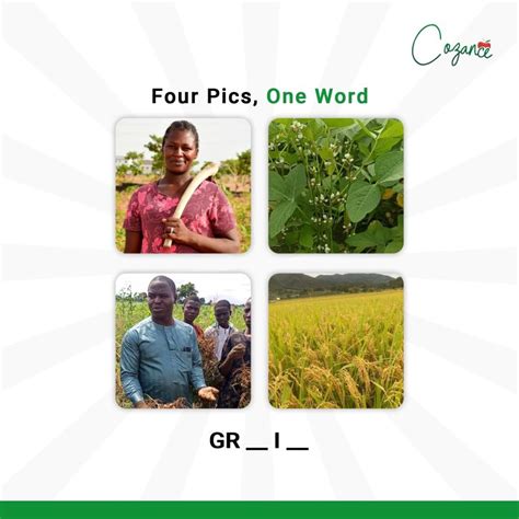 How To Solve This Agric Puzzle Cozance Posted On The Topic Linkedin