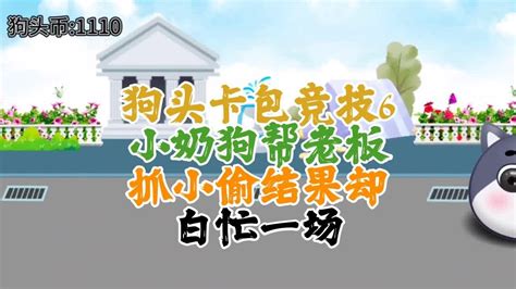 狗头卡包竞技6小奶狗帮老板抓小偷结果却白忙一场 YouTube