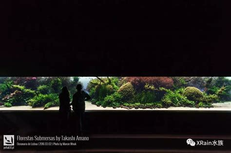 天野尚先生的辞世之作，里斯本海洋水族馆40米巨型水草缸