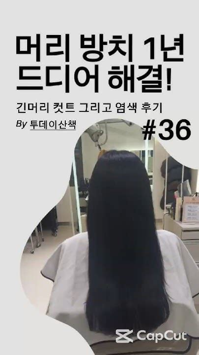 서울대입구 미용실 고민 중이라면 여기 꼭 한번 가보세요 Youtube