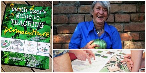 Permaculture Teacher Training Scholarship Milkwood Permaculture