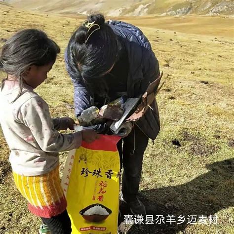 【共建绿色家园】全域无垃圾 禁塑减废丨巾帼在行动活动玉树