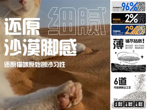 歪豆钠基矿砂 猫砂详情页 百熙Bessie 站酷ZCOOL
