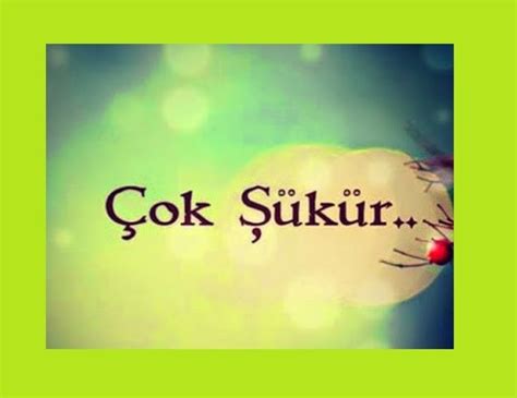 Şükür Sözleri Şükretmek ve Şükür ile ilgili Sözler Gelecekten Net