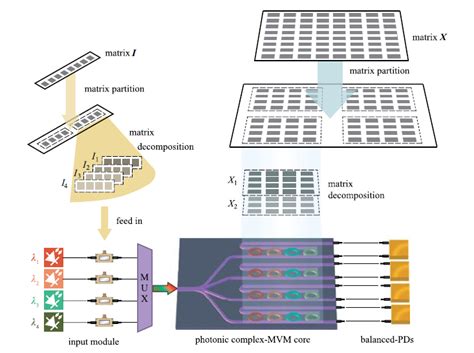 a 4 × 4 mrr based weight bank applied as a tensor process unit