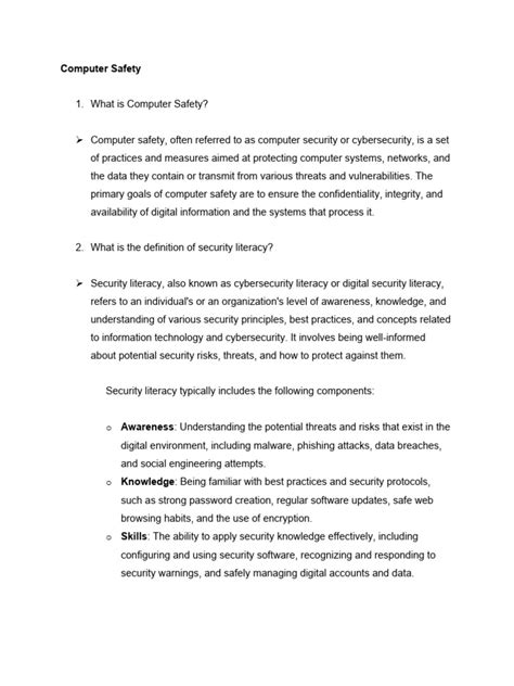 Computer Safety Pdf Information Security Security