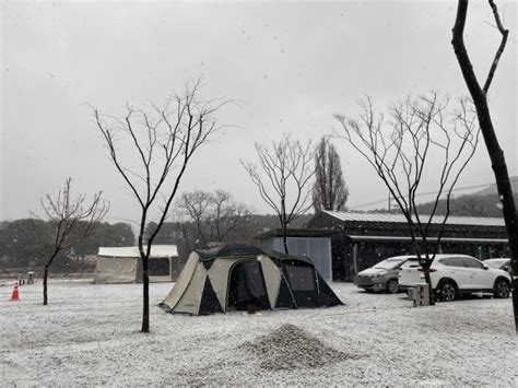 경기도 호수뷰 캠핑장 안성 신생 캠핑장 안성 레이크202 네이버 블로그