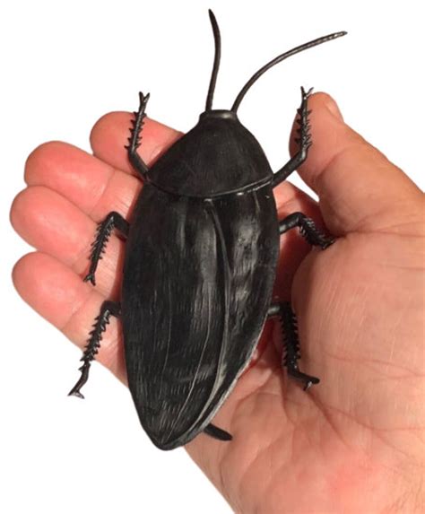 Vintage Jumbo Cockroach 6 Giant Rubber Fake Bug Prank Joke Gag Funny Roach Halloween Prop