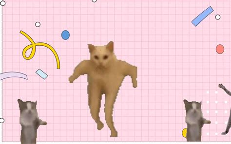 Happy猫原版视频 Bilibilib站无水印视频解析——yiuios易柚斯