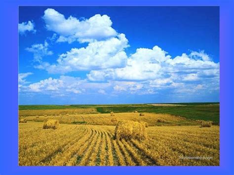 Презентация на тему Правовой режим земель сельскохозяйственного назначения