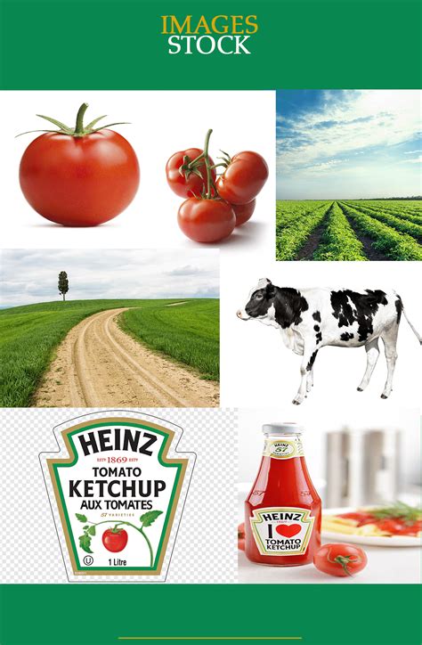 Heinz And Social Media On Behance
