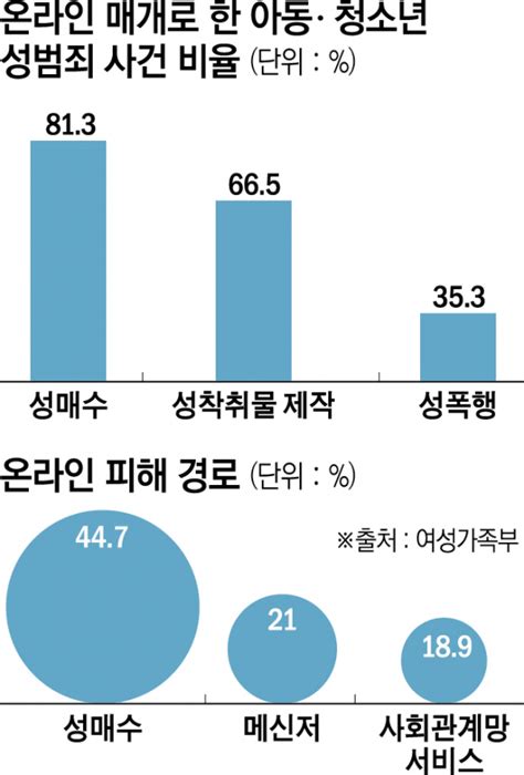 온라인 그루밍 범죄 기승여가부 청소년 성착취 피해 지원 이투데이