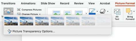 Como Tornar Uma Foto Transparente No PowerPoint RapidamenteReviltec Reviltec