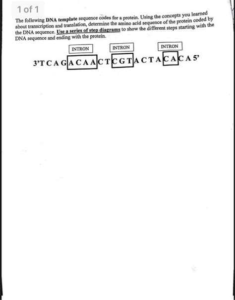solved 1 of 1 the following dna template sequence codes for