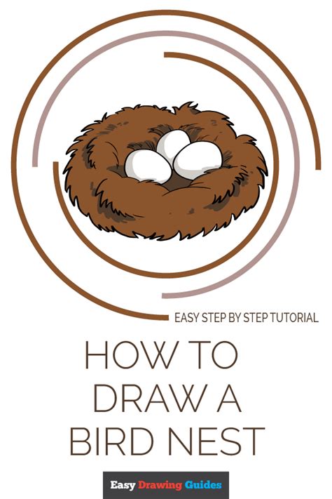 How To Draw A Bird Nest Really Easy Drawing Tutorial
