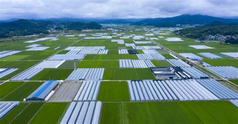 친환경인증 자진 취소 사태 농지임대차 허용으로 막아야