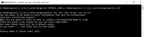 how to make your own cert with openssl on windows reloaded didier