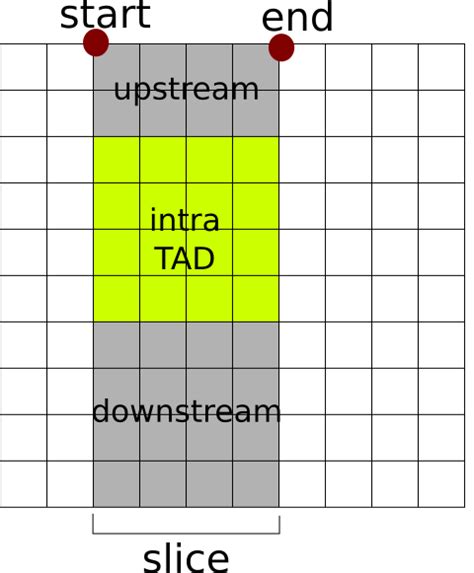 questions about tadbit algorithm · issue 191 · 3dgenomes tadbit · github