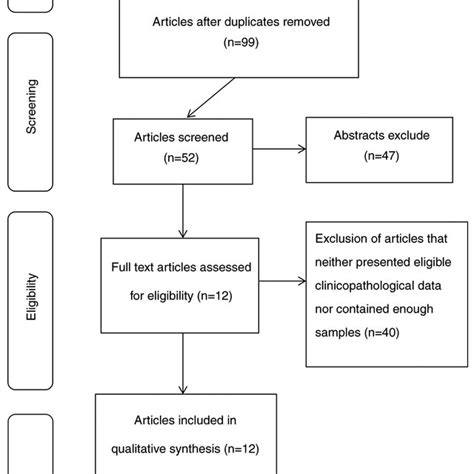 Flow Chart Representing The Literature Search And Selection Process