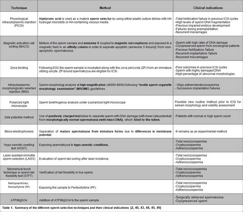 Sperm Selection Techniques For Intracytoplasmic Sperm Injection Icsi