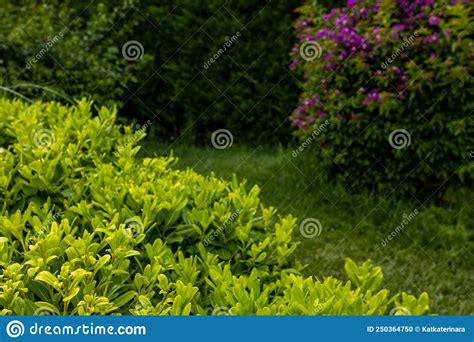 Colored Rubbish Containers For Separate Sorting Of Garbage Bins For Recycling Different Types