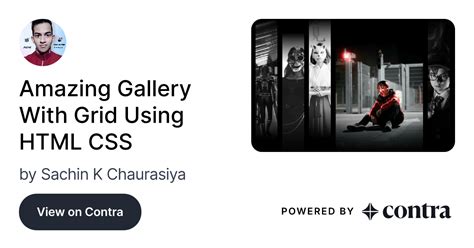 Amazing Gallery With Grid Using Html Css By Sachin K Chaurasiya