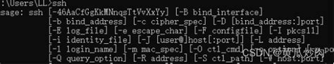 Windows Ssh Csdn